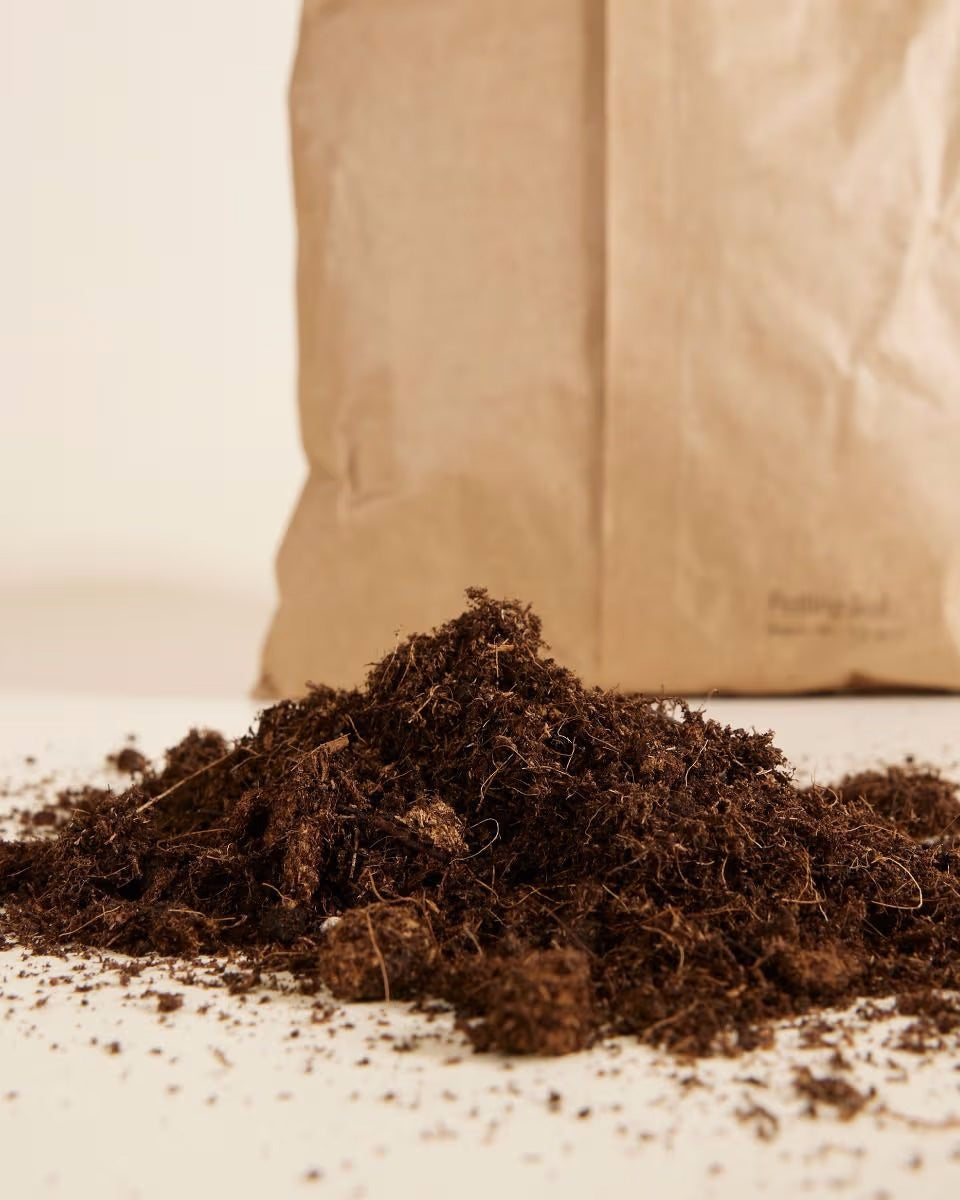 Blumenerde und Substrate für gesunde Pflanzen | Finestgreen