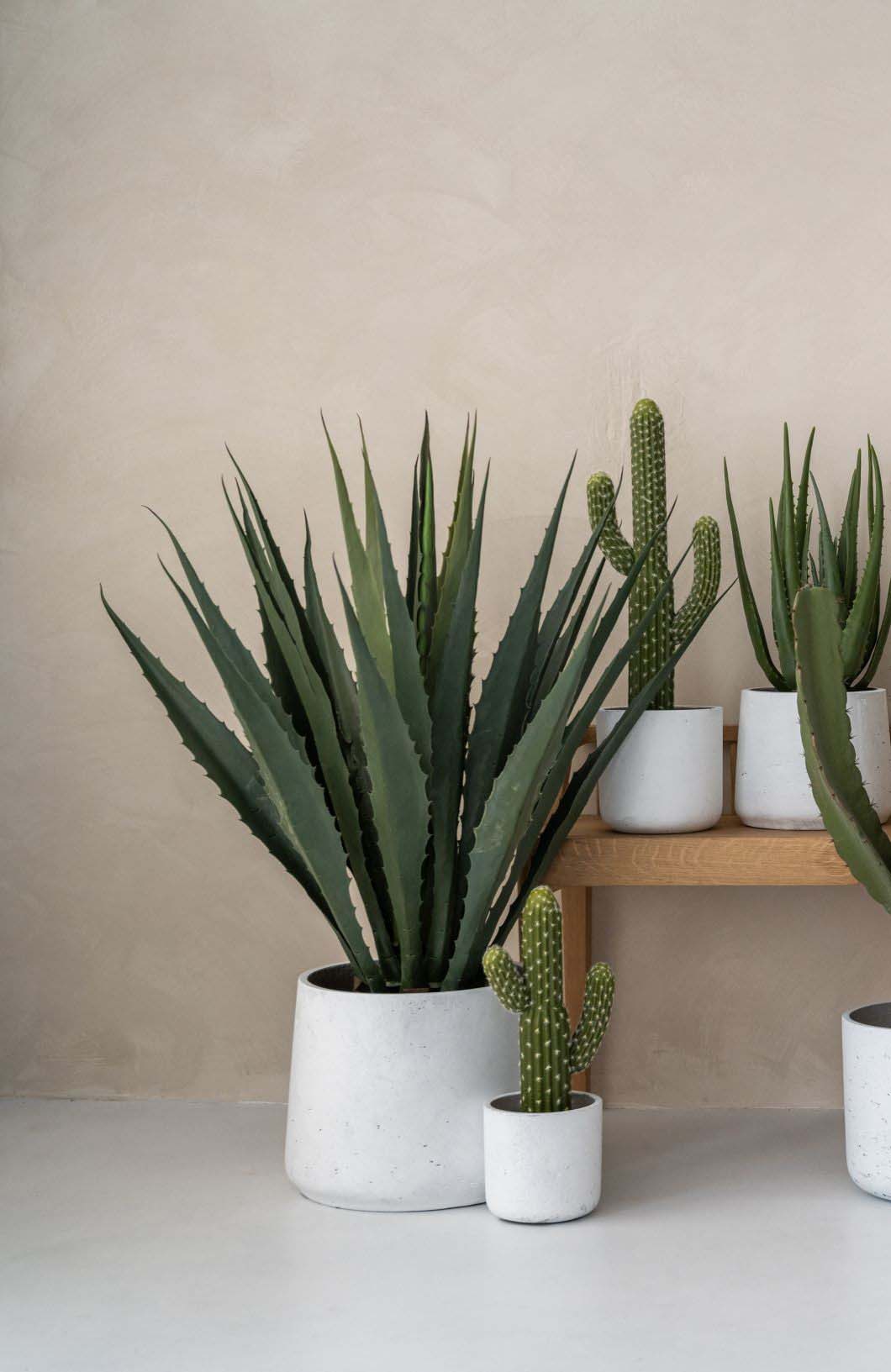 Pflanzkübel, Blumentöpfe, Designer Vasen & Moosbilder | Finestgreen®