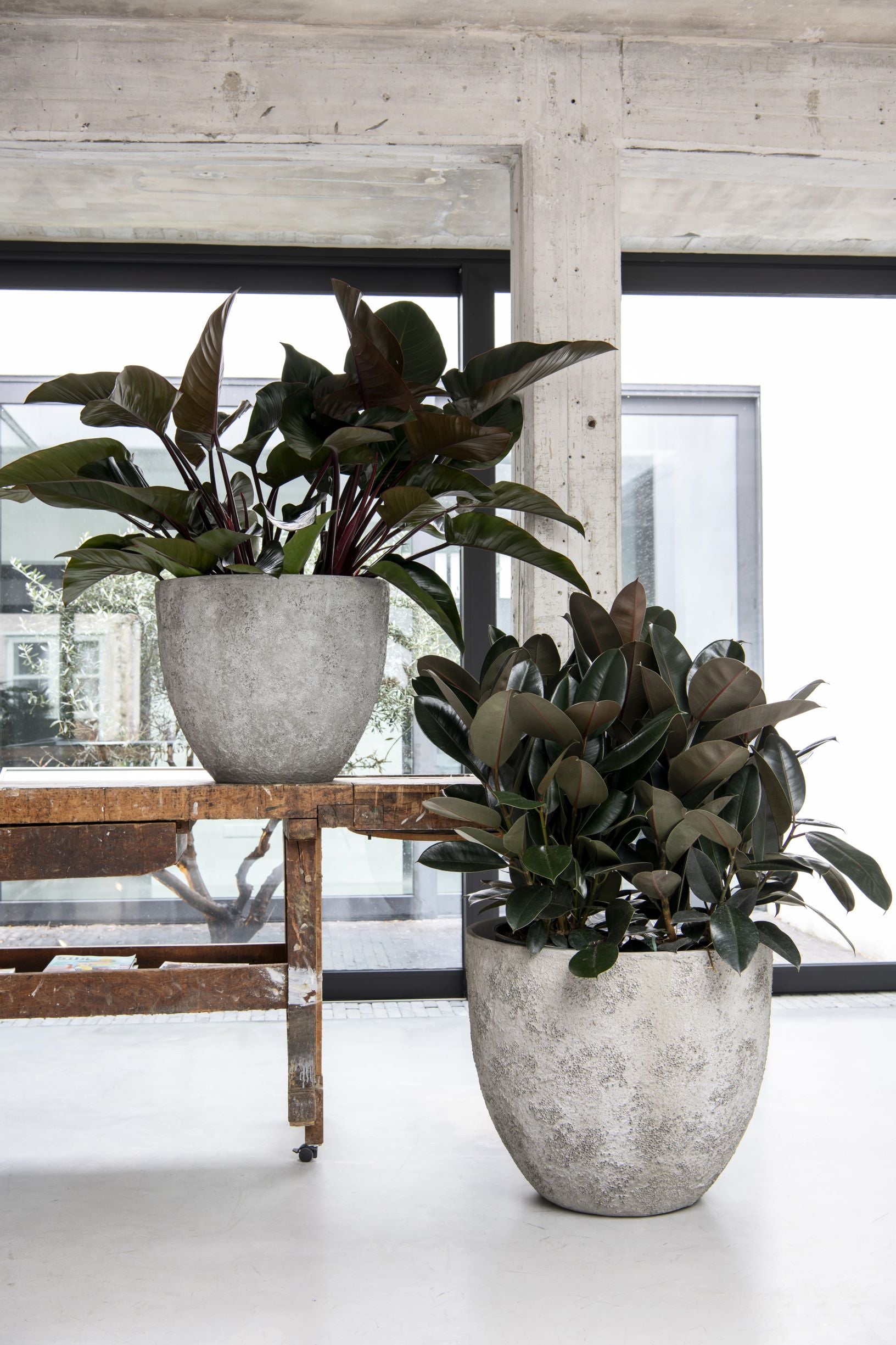 Jesslyn Oyster Imperial Weiß - Pottery Pots Pflanzgefäß | Finestgreen